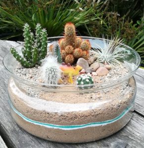 Creating A False Bottom In A Terrarium: What, Why and How