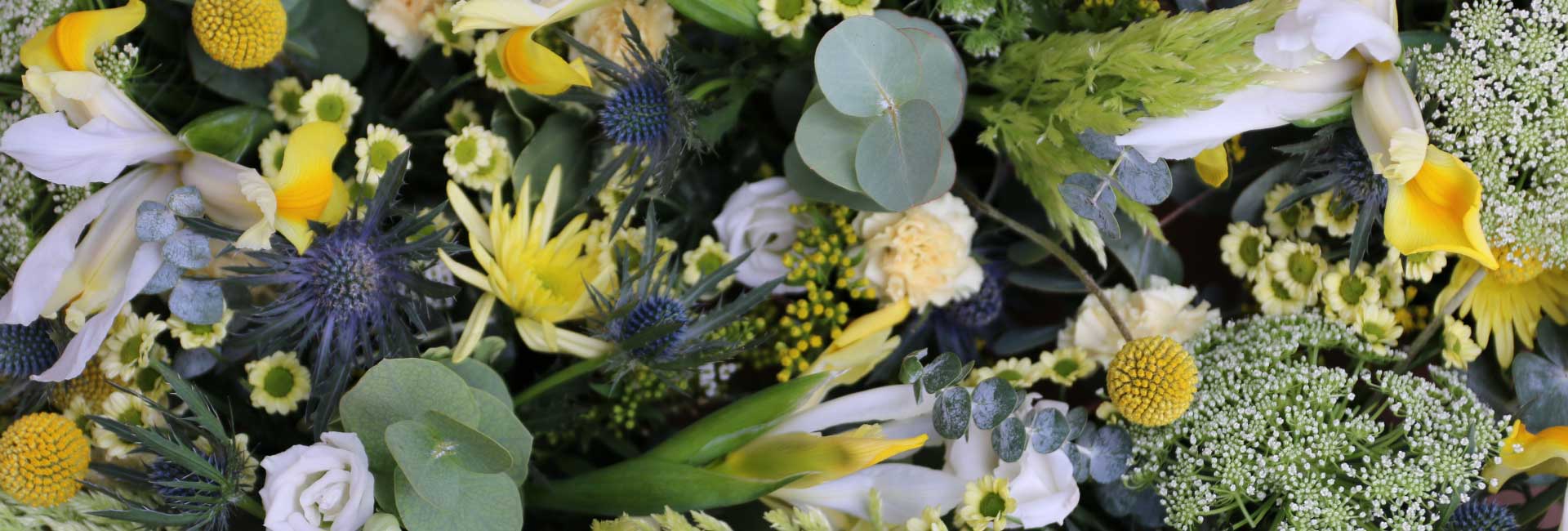 Corporate Flowers for the Office or Business Event - Romeo & Succulent