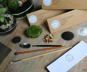 Terrarium Tool Kit - Essential Pack to Create Your Own Terrarium
