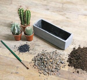 Micro Cactus Garden Kit - Essential Pack for Cactus Lovers